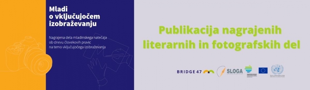 platforma Sloga – Nevladne razvojne organizacije